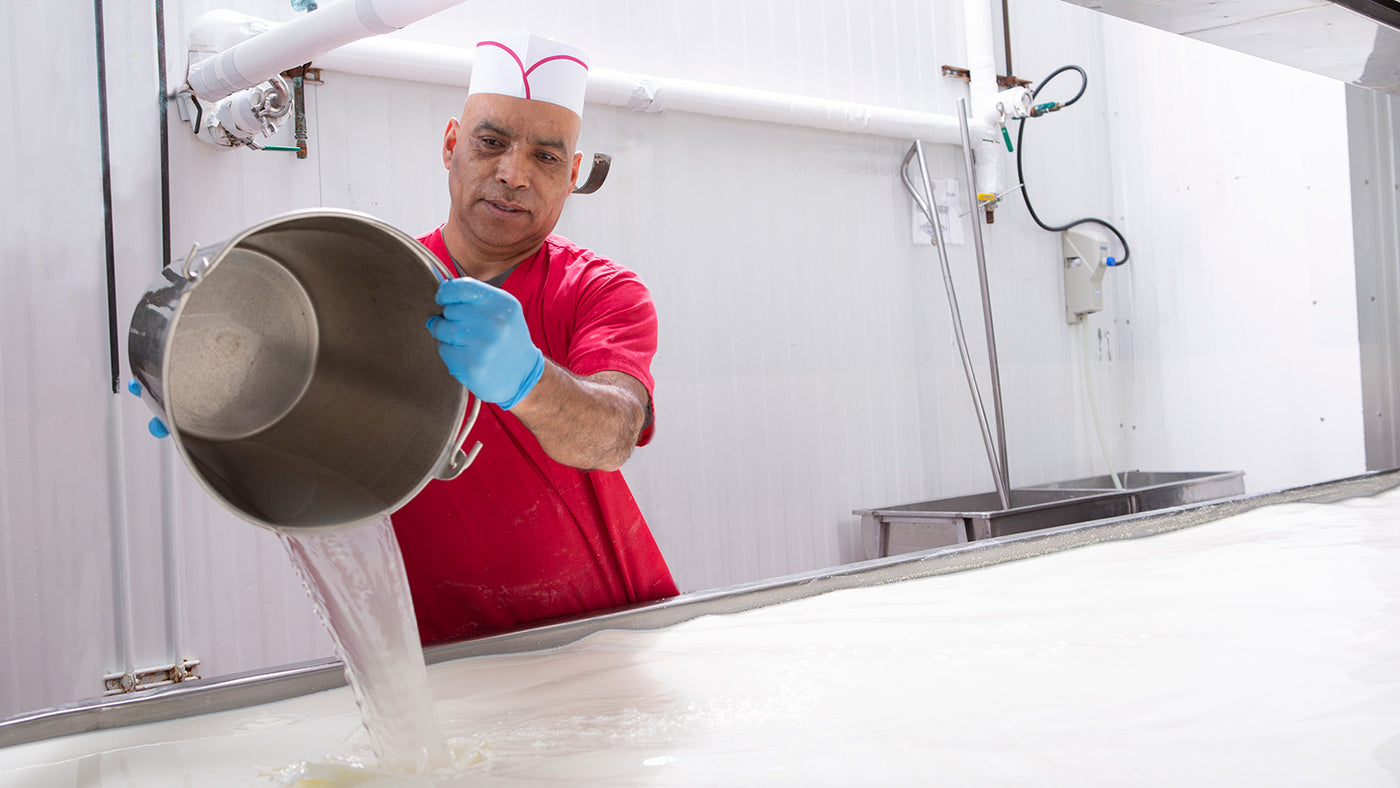 Beehive Cheese – Beehive Cheese Company, BLLC